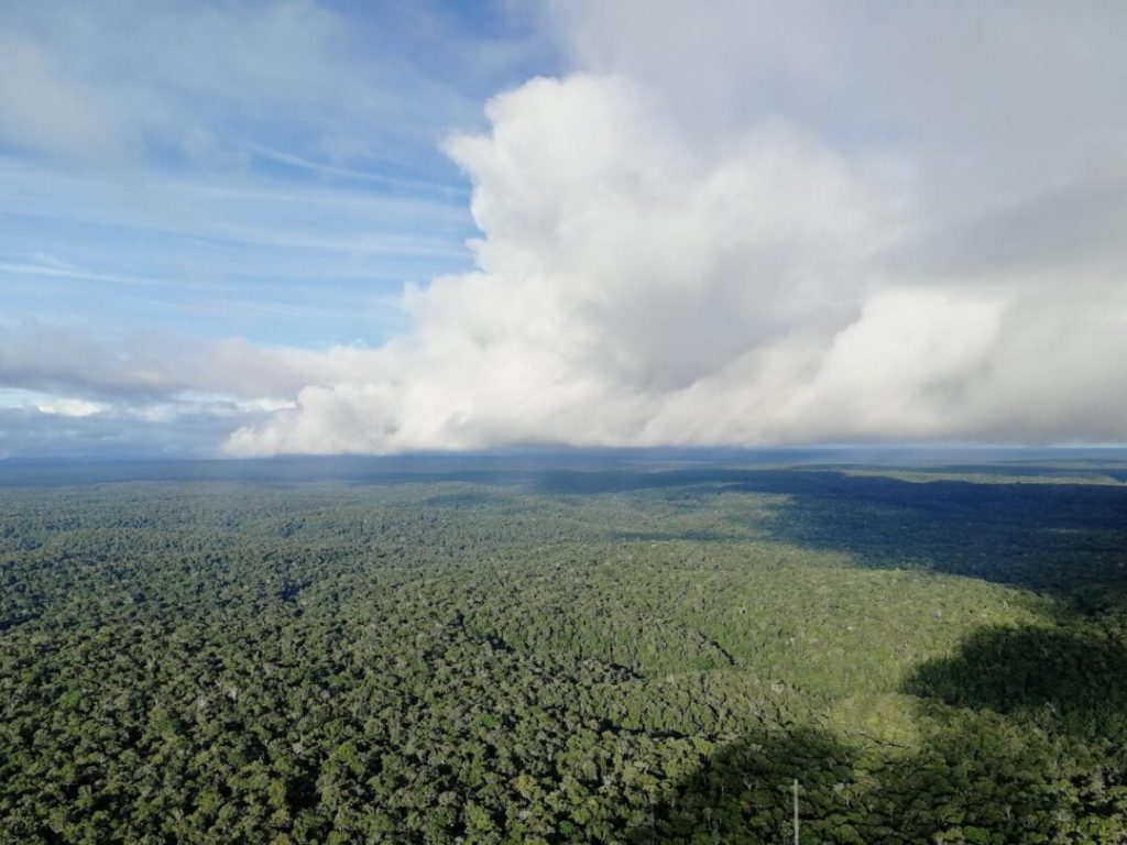 Climate Change May Cause Severe Drying of the Amazon Forest | Science Trend